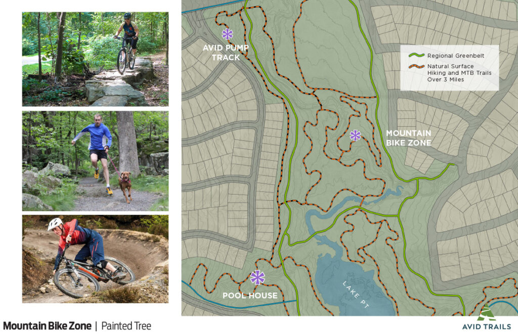 Painted Tree - Avid Trails