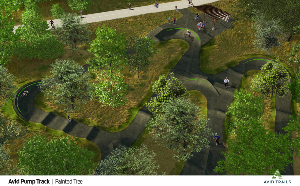 Painted Tree - Avid Trails