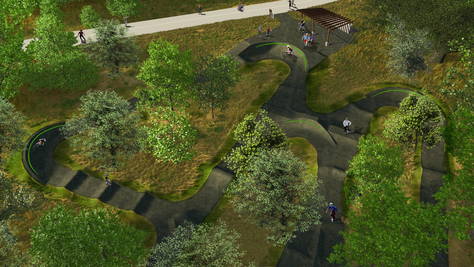 Painted Tree - Avid Trails