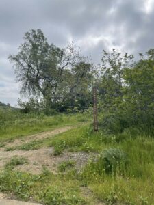 Glendora Bike Park - Avid Trails